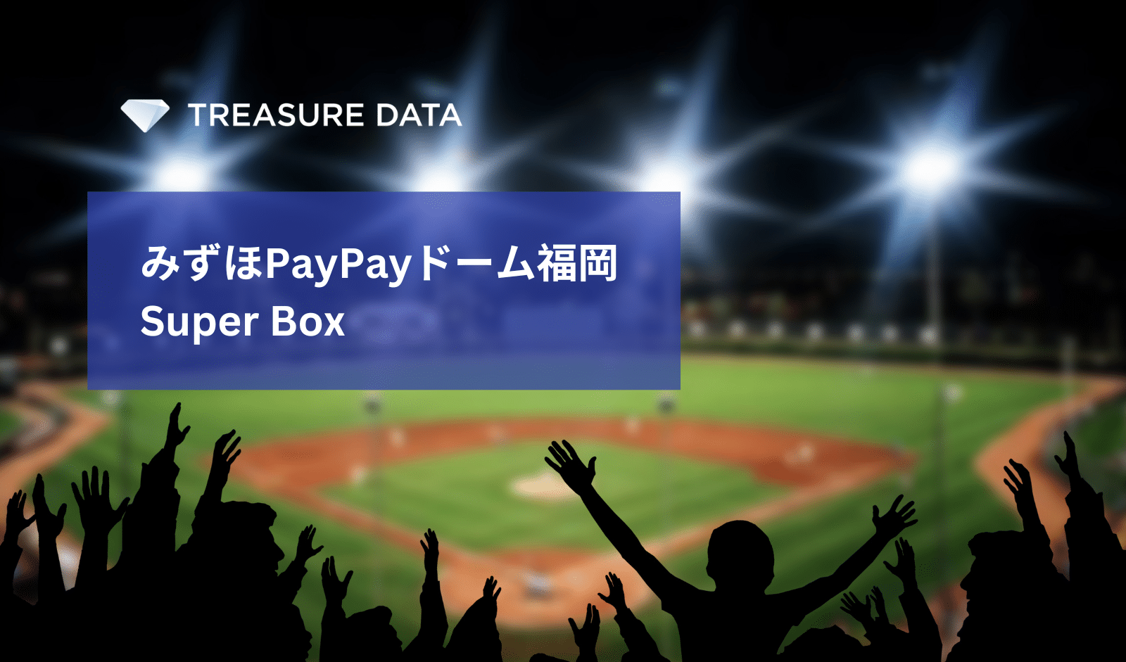 2025年6月13日開催 Executive Meetup ＠みずほPayPayドーム福岡 Super Box - トレジャーデータ（Treasure Data）